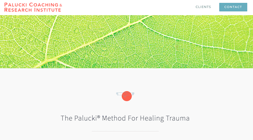 Healing Trauma, Sorrow & Fear